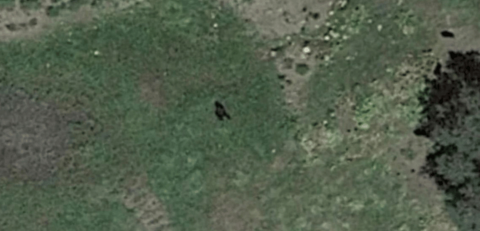 Bigfoot like creature spotted roaming on Google Earth Bigfoot like creature spotted roaming on Google Earth